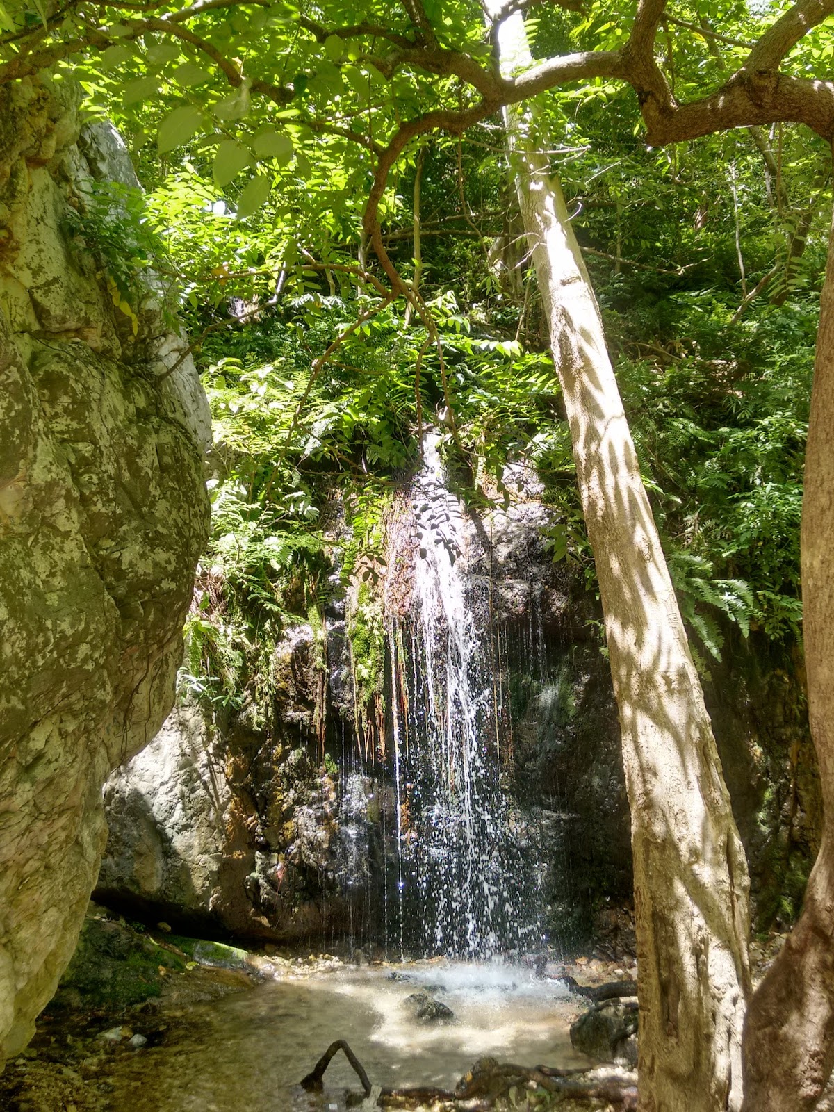 ChalapathiVin: Chennai to Tada [waterfall trek]