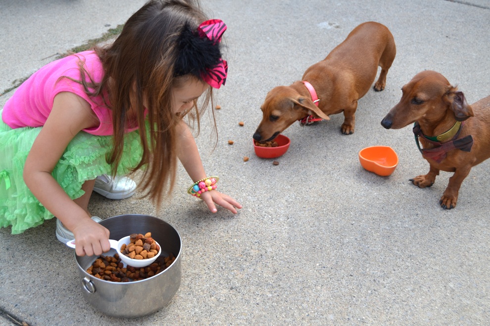 How to Raise Dogs and Kids Together | The Nutritionist Reviews