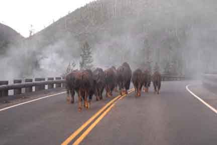 Shirl Ireland's Art Blog: Seeing is believing...