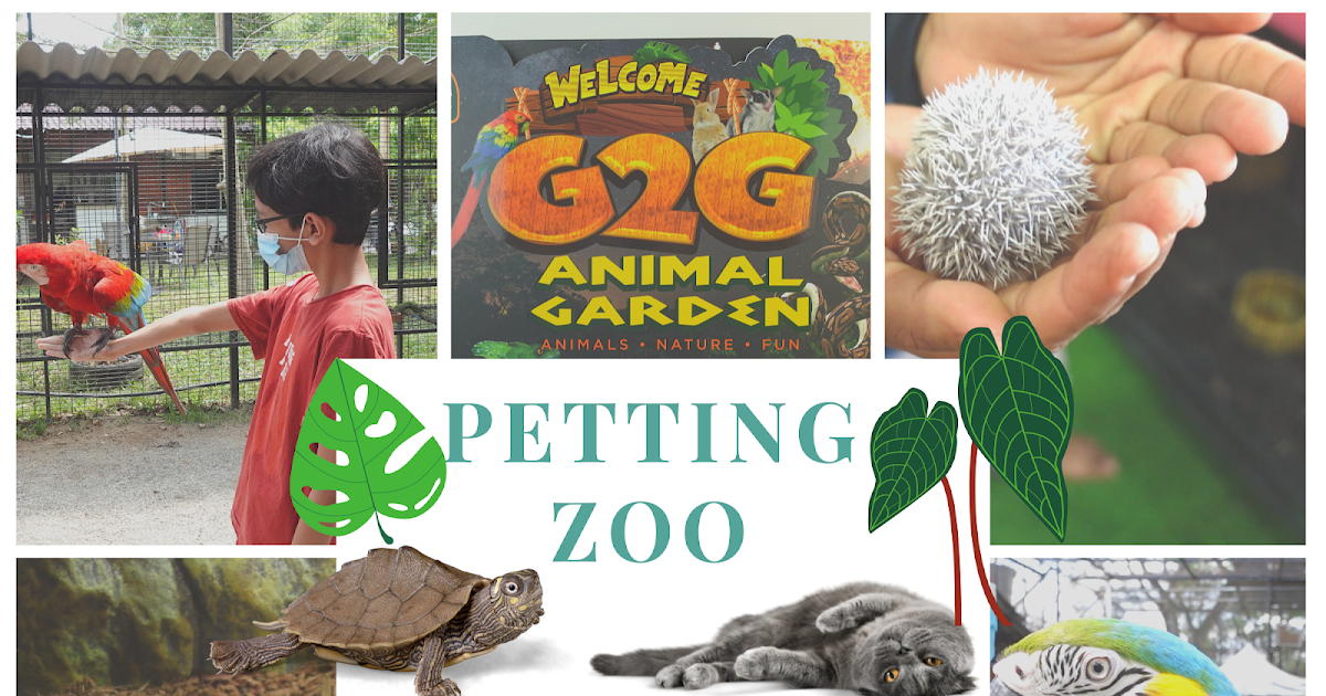 Jalan-jalan ke G2G Animal Garden Maeps | Serdang