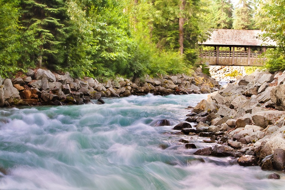 Health in Recovery : Finding Your Flow