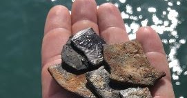 The Treasure Beaches Report Direct From Florida's Treasure Coast.: 7/19 ...