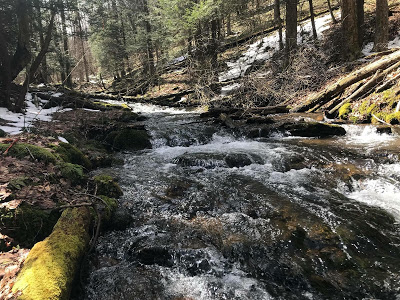 Fly Tyer Mike: "Blue Line Like a Beast" Next Level Small Stream Fly ...