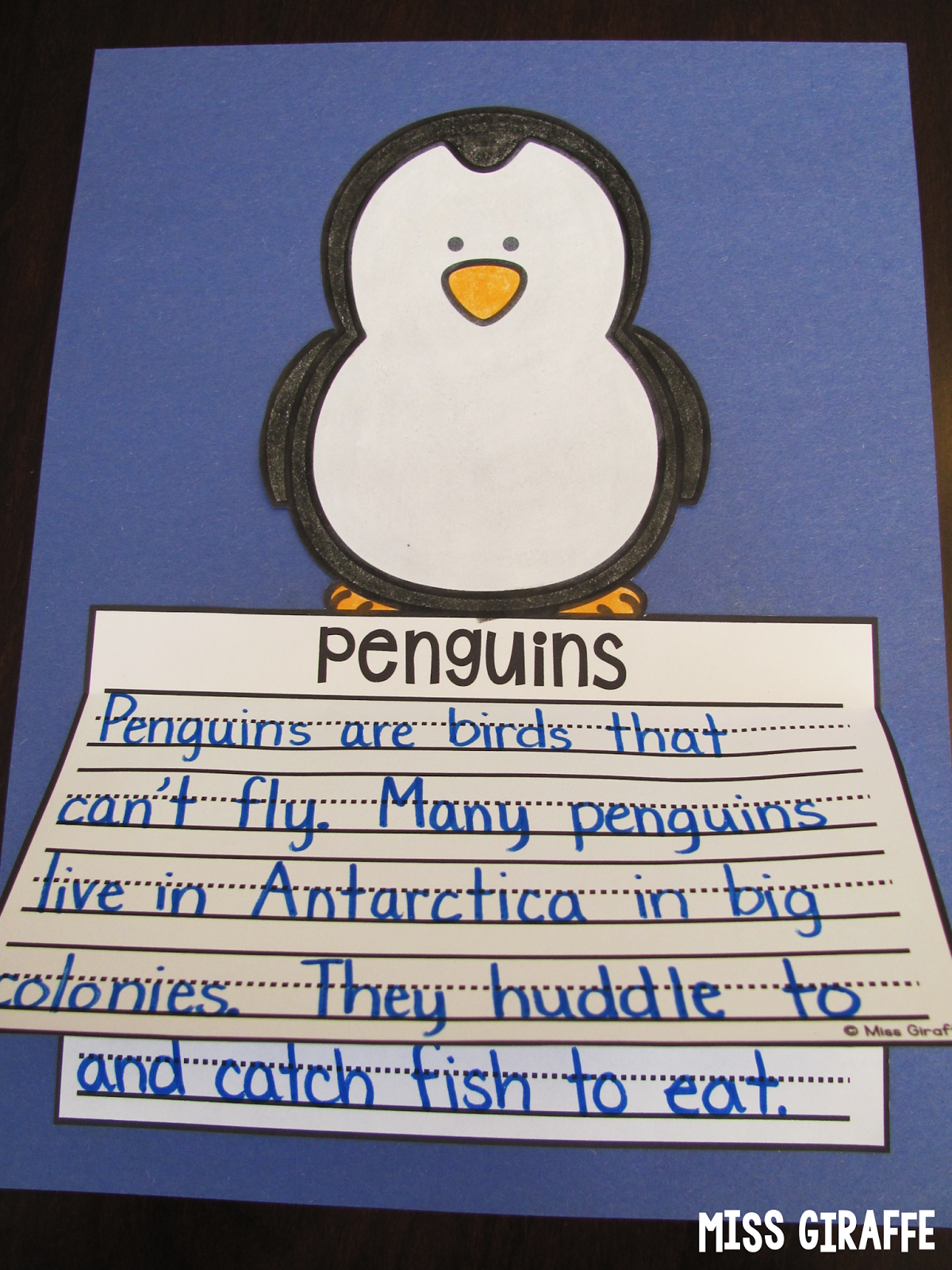 Miss Giraffe's Class: January 2016