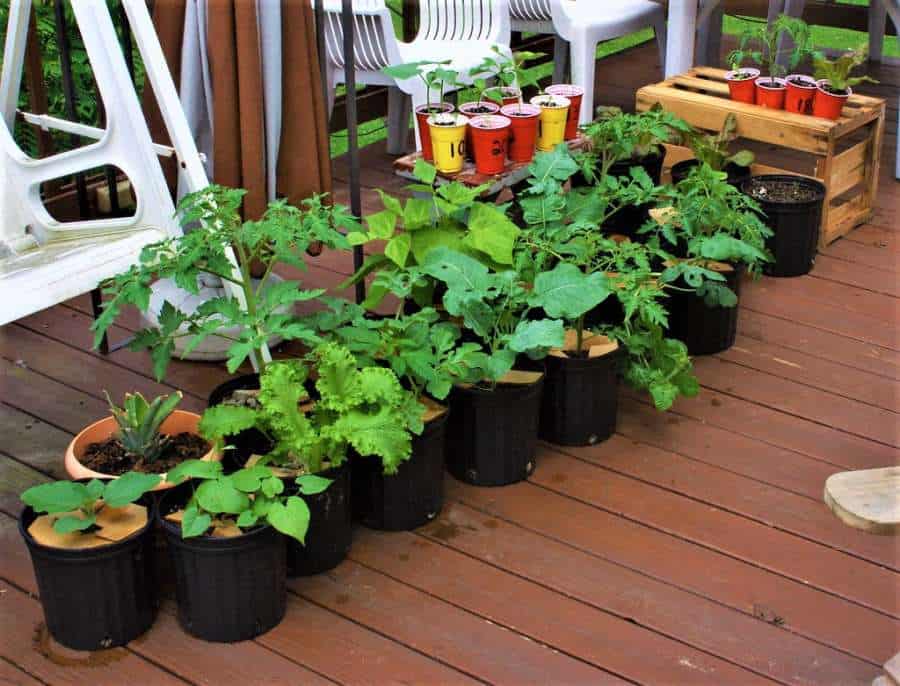Organic Container Gardening ~ Container homes plans