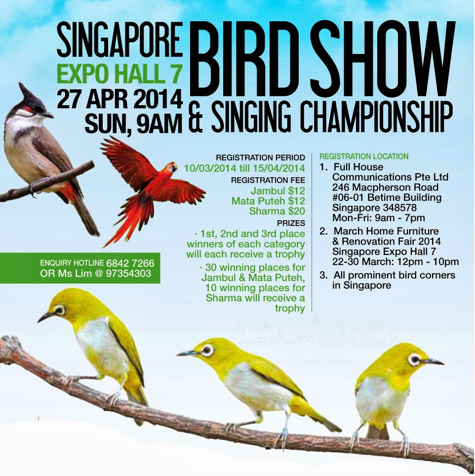 Mata Puteh : Singapore Bird Show And Singing Championship