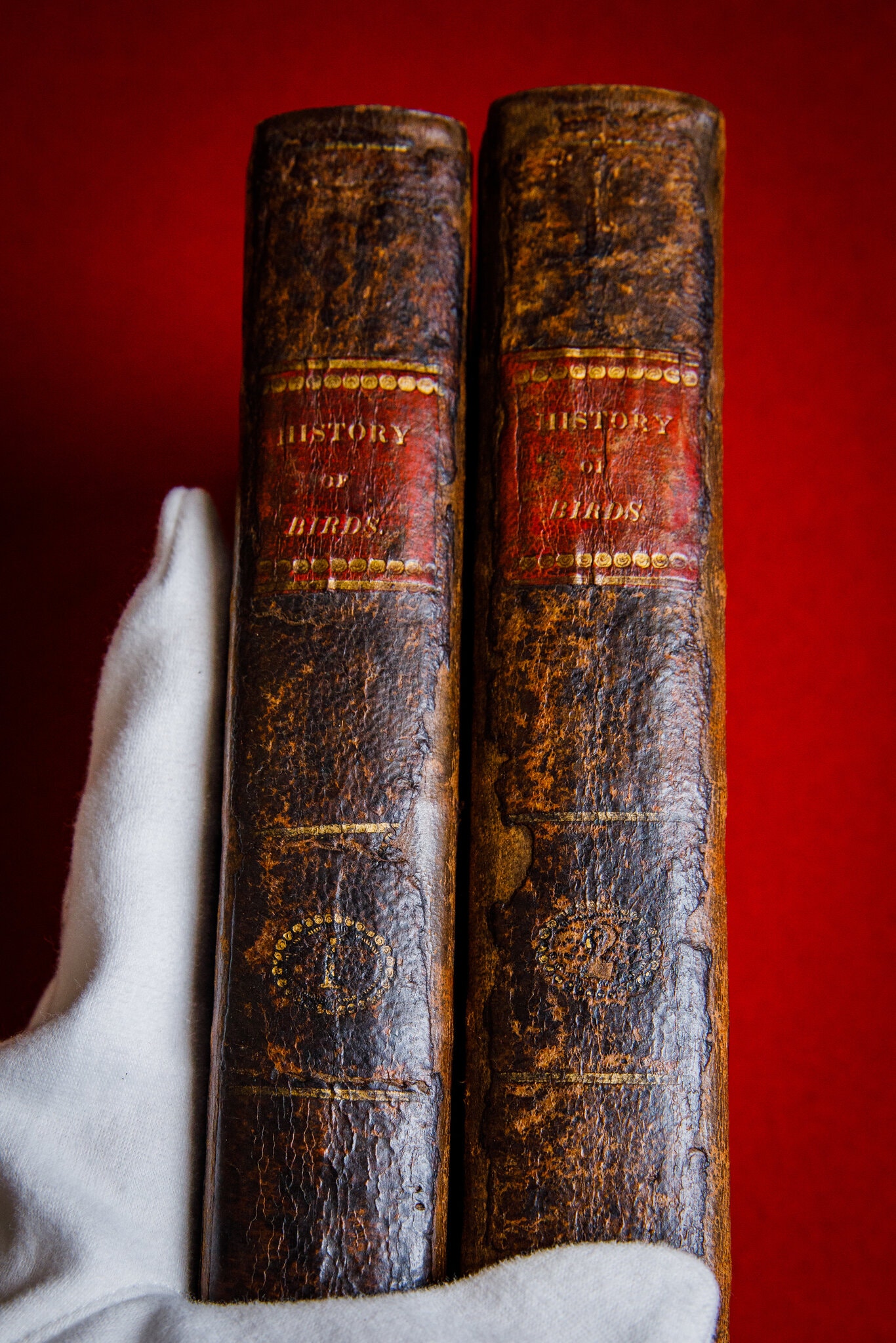 the Brontë Sisters: A Lost Brontë Library Surfaces A trove of ...