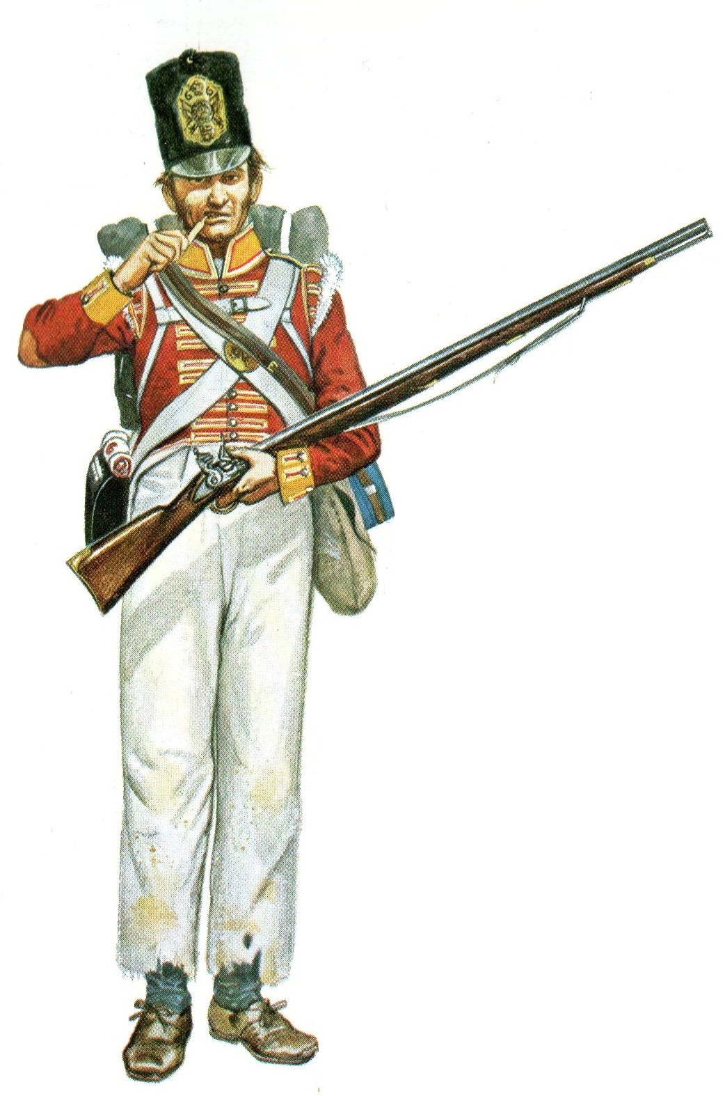 Pin by John Dempster on Napoleonic Era Wars 1789-1815. | British army ...