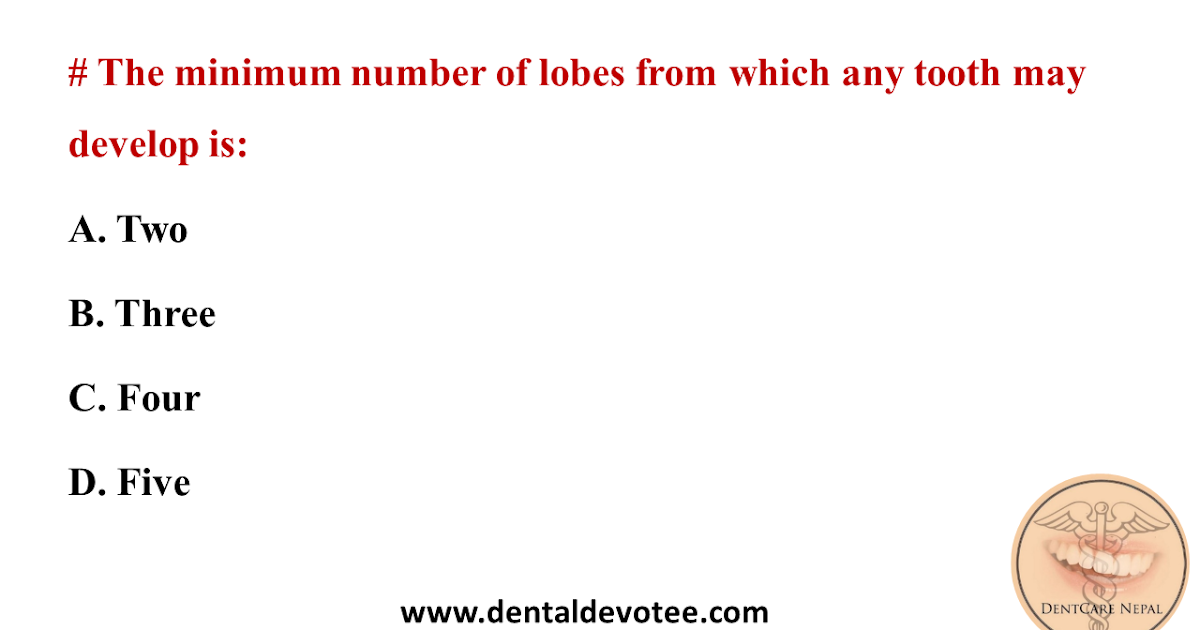 Dentosphere : World of Dentistry: Number of lobes in a tooth