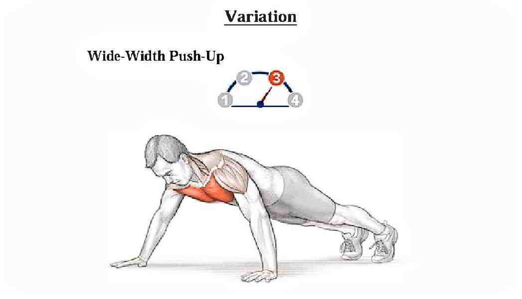 Chest Workout Bodyweight: Build a Massive Chest in Just 4 weeks