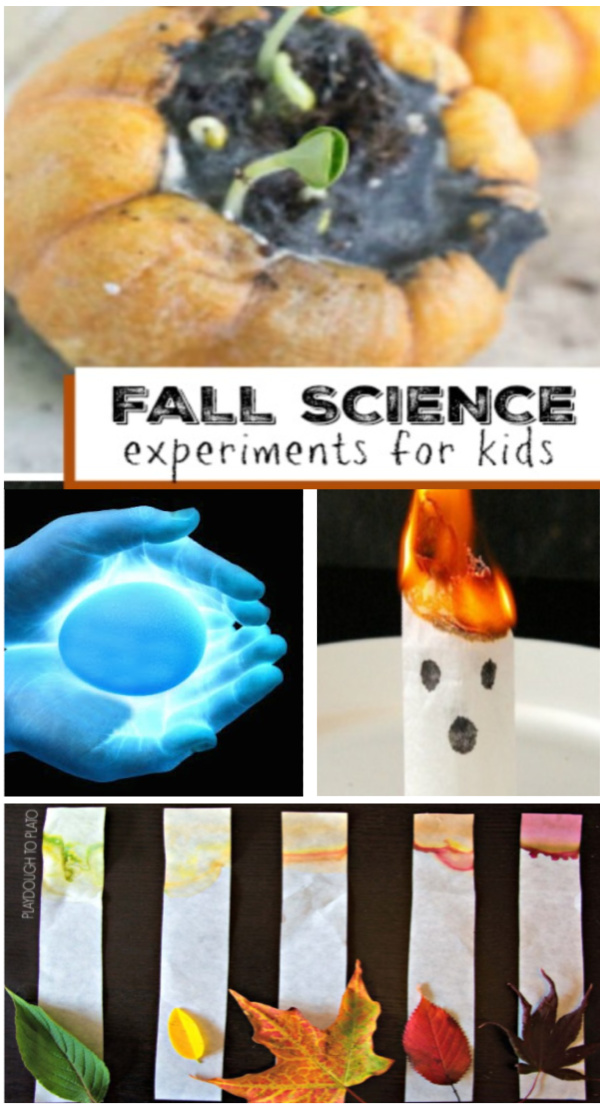 Fall Science for Kids