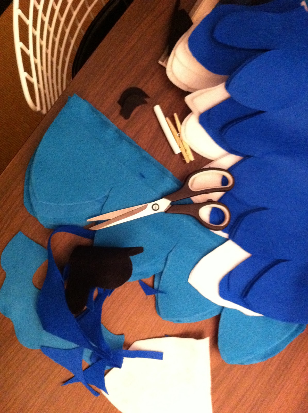 26 east: The Making of A Blue Jay