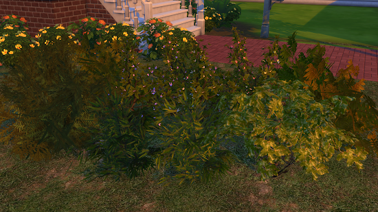Helen-sims: TS4 Bushes set