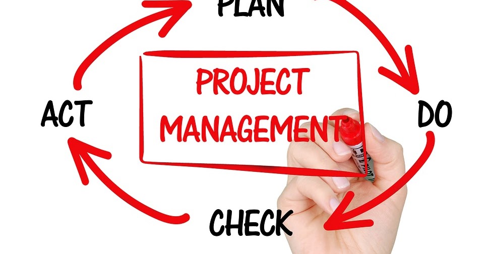 6 Main Roles and Responsibilities of a Project Manager - Productivity ...
