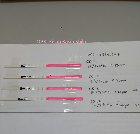 BBT, OPK dan Ovulasi