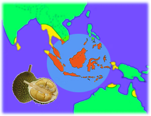 Durian Info: The Origin of Durian