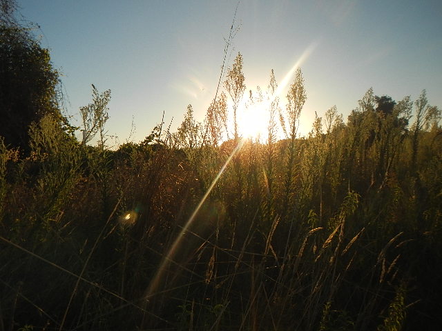 Pedro Teixeira da Mota: Celebração da Lua Cheia no vale medicinal de ...