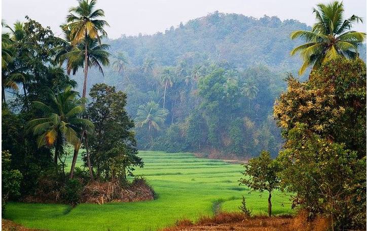 Best Moment Photoes: Kokan's Beautiful Photos