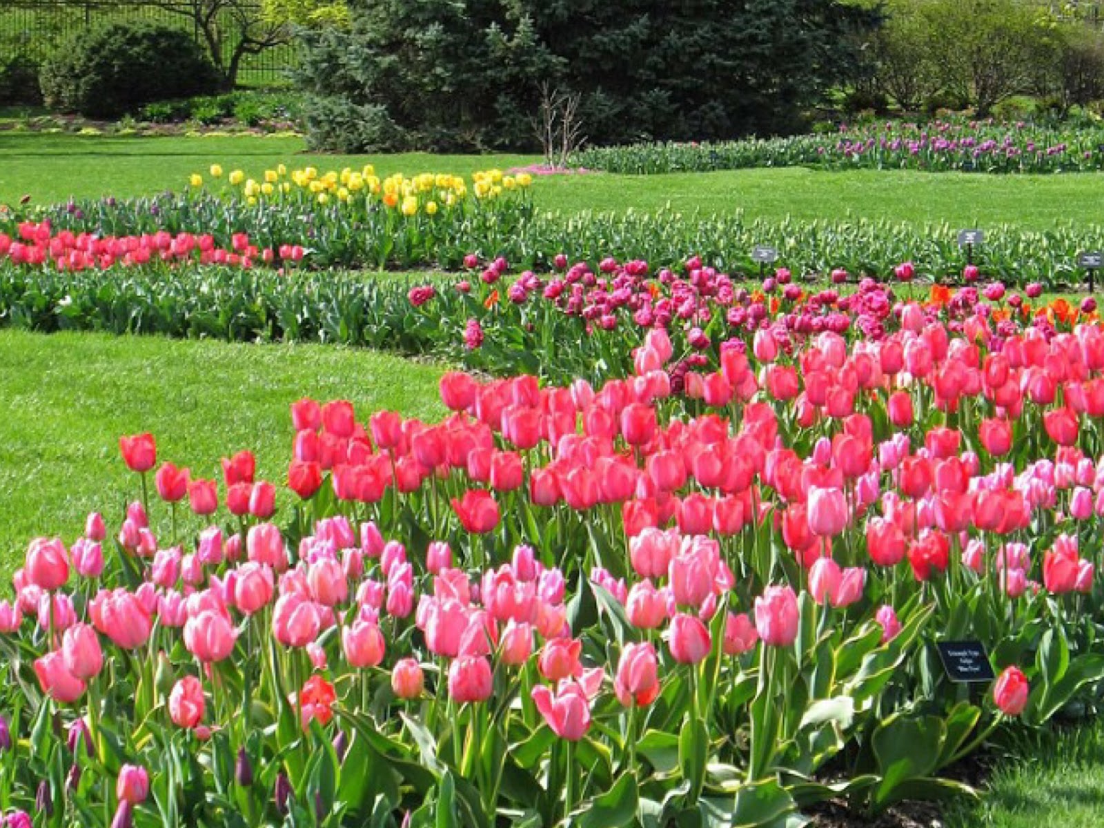 The Great Big List of Spring Break DayTrips (in New Jersey and Beyond ...