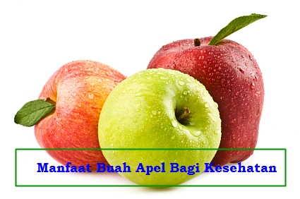 Manfaat Buah Apel Bagi Kesehatan | SEHAT DAN BUGAR