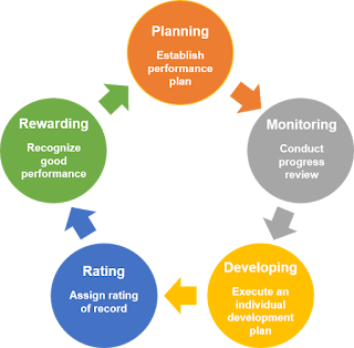 The Performance Management Cycle