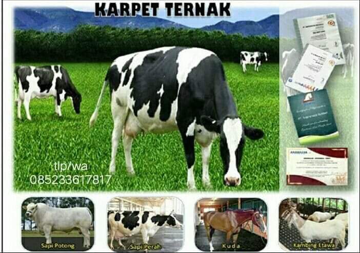 Karpet Ternak Sapi: KARPET SAPI MURAH HARGA GROSIR