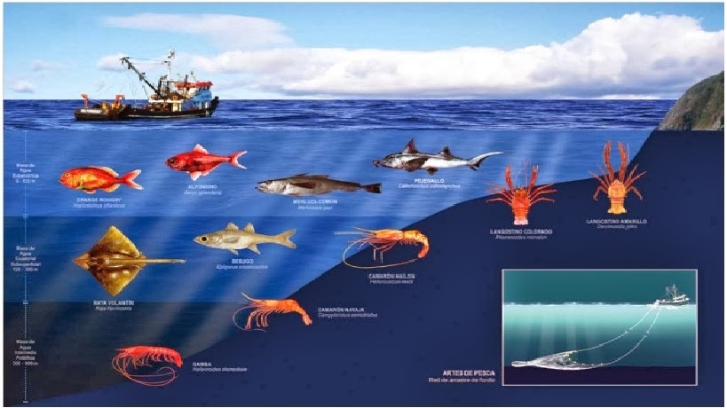 recursos pesqueros