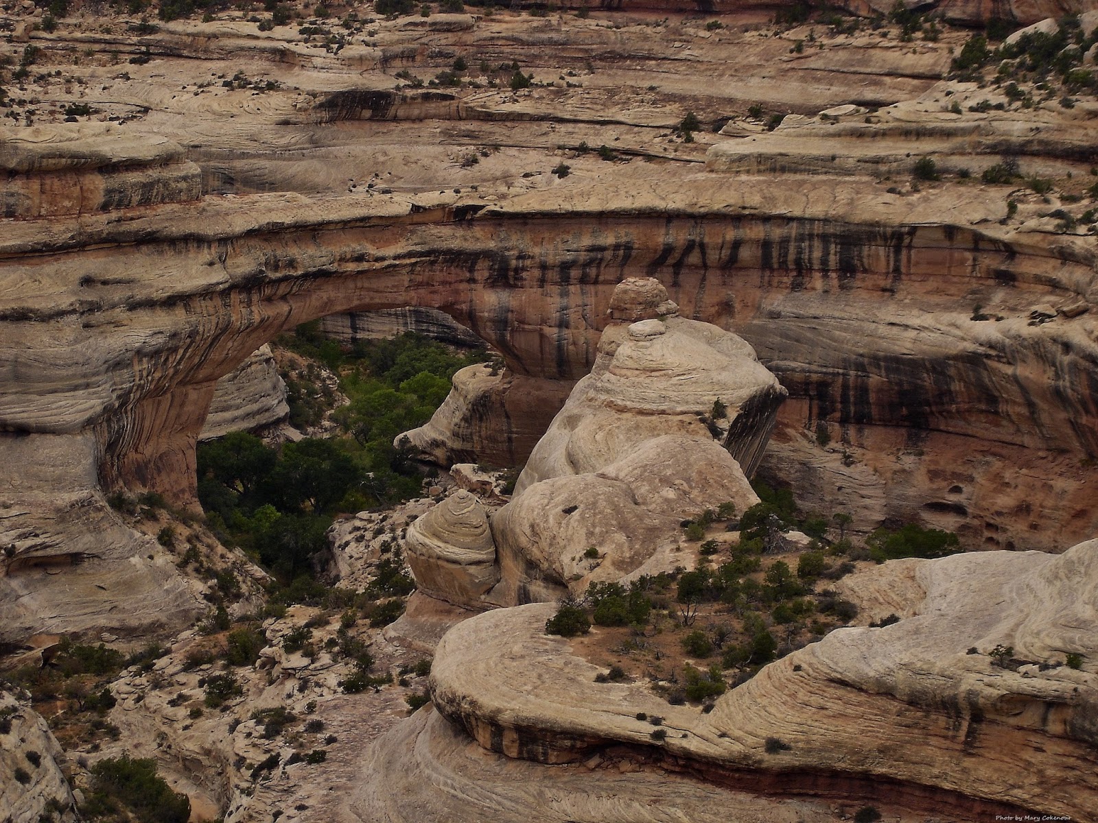 The Southwest Through Wide Brown Eyes: The Natural Wonder of Natural ...