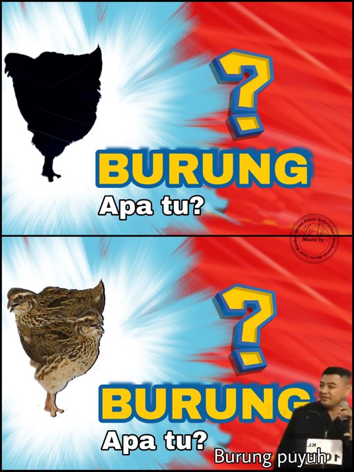 20 Meme Lawak Burung Apa? Burung Puyuh! Viral Sampai Ke Negara Seberang