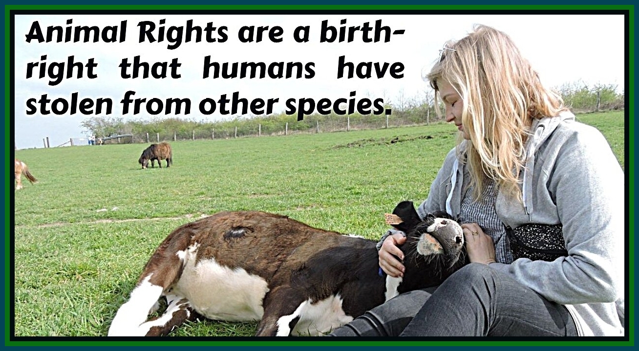 VEGANISM: A TRUTH WHOSE TIME HAS COME: 100 VEGAN & Animal Rights ...