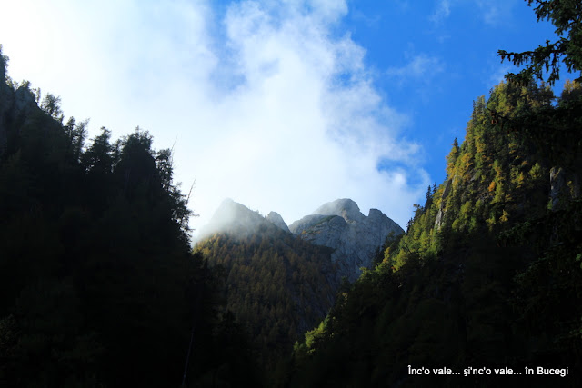 Poveştile mele: Bucegi: Valea Cerbului, Valea Caldarile, Valea Priponului
