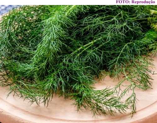 Innaldo Sardinha: ENDRO: CONHEÇA QUATRO BENEFÍCIOS DE CONSUMIR A ERVA ...