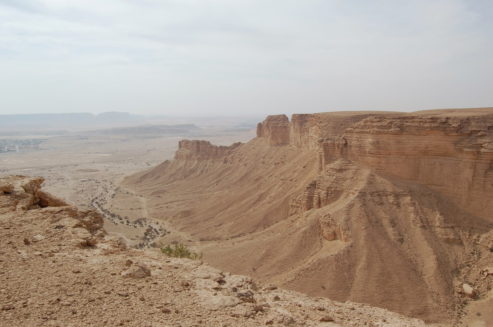 Cosas de agua: Reverdeciendo el desierto