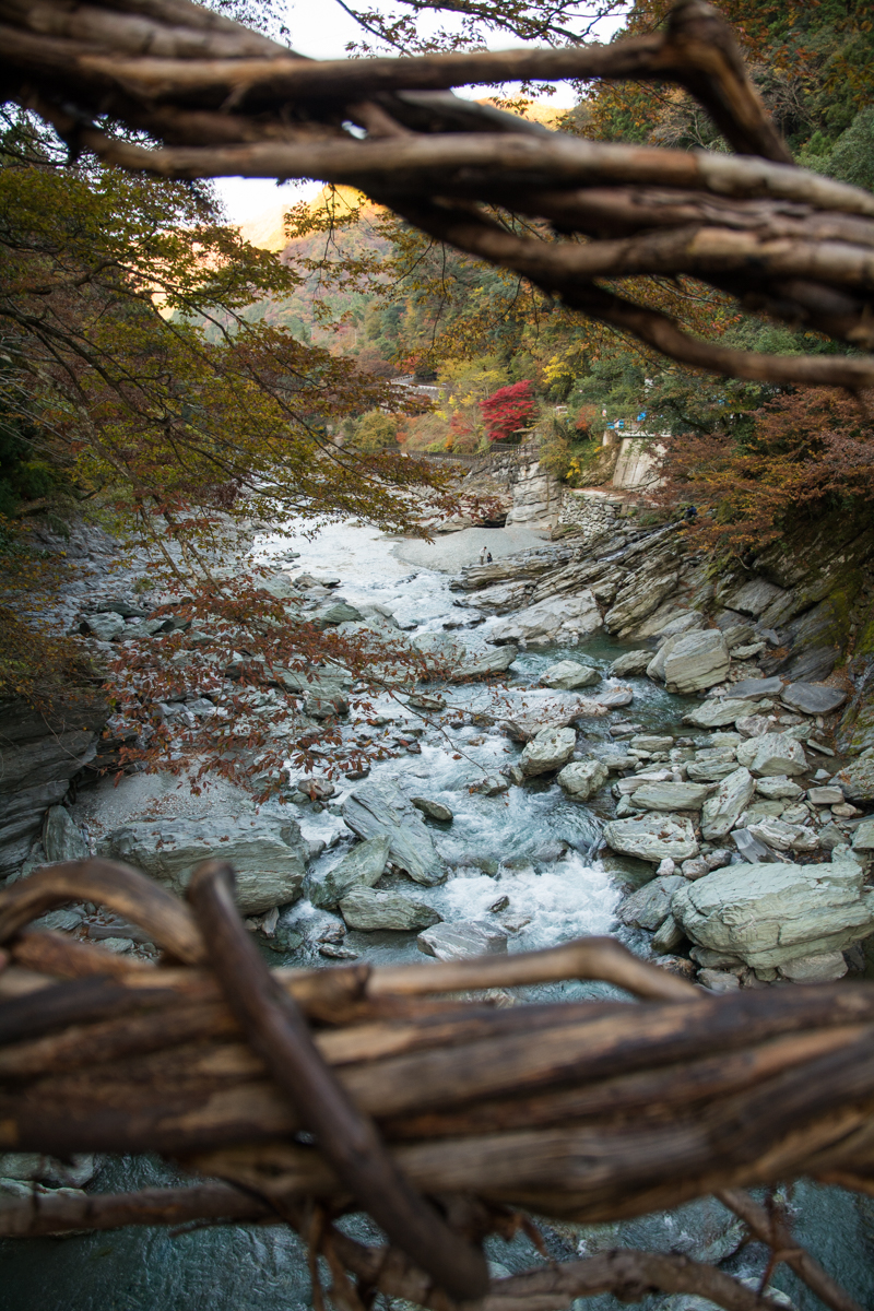 JAPONSKA - otok Šikoku in konec potovanja