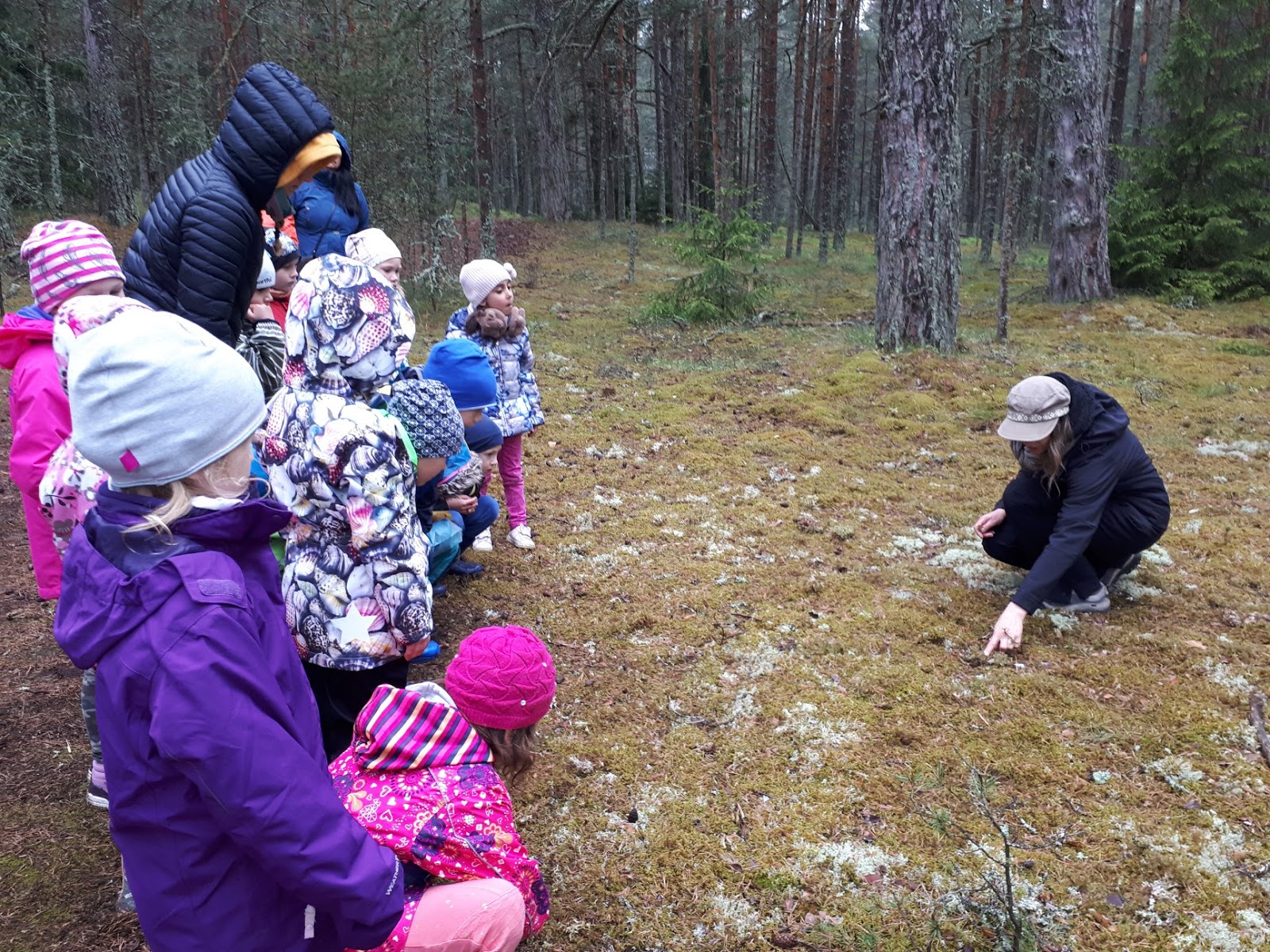 Roheline Kool Eestis Tallinna Tuule Lasteaed: Tuuletrolli merereis ...