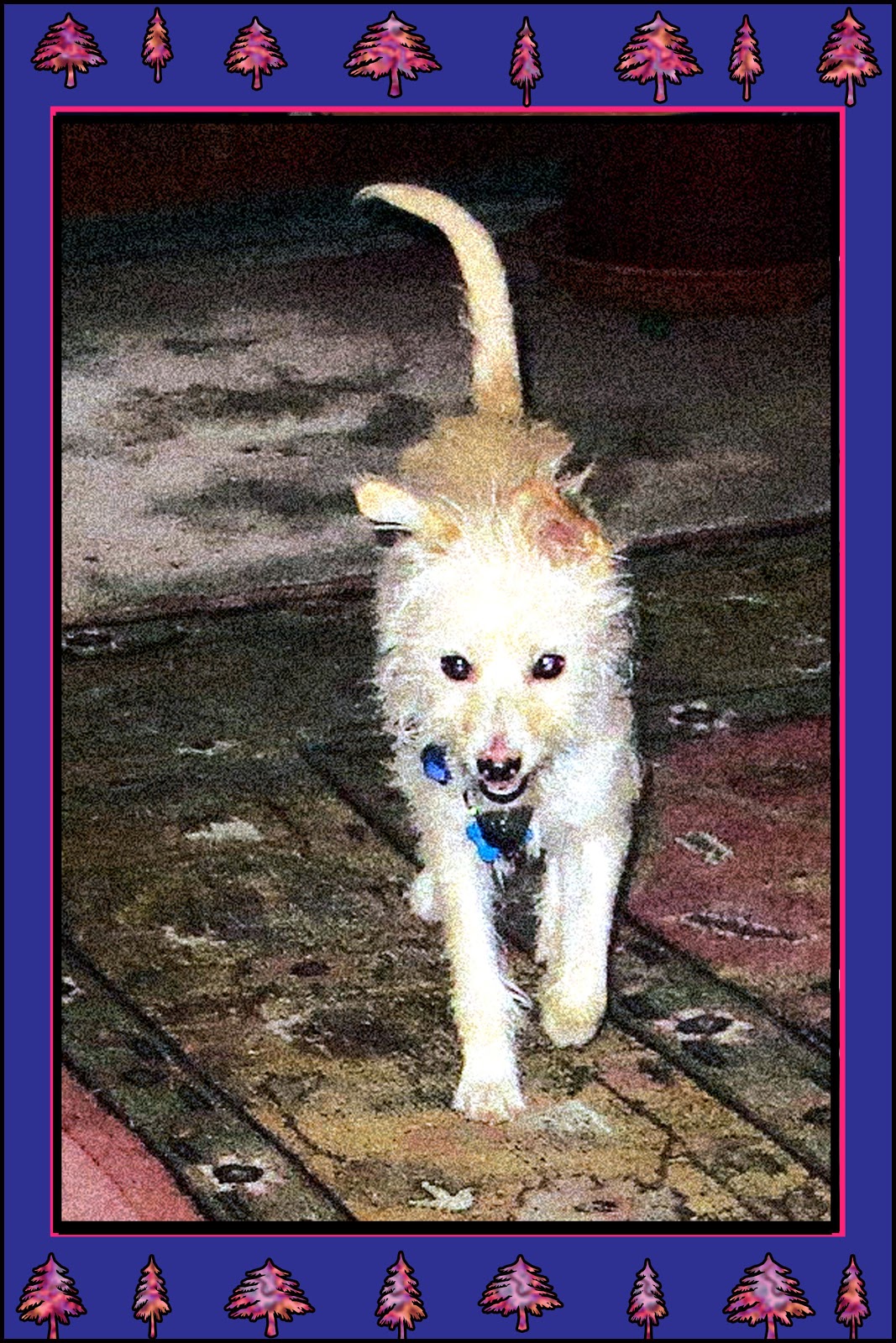 Cielo Azul Happenings