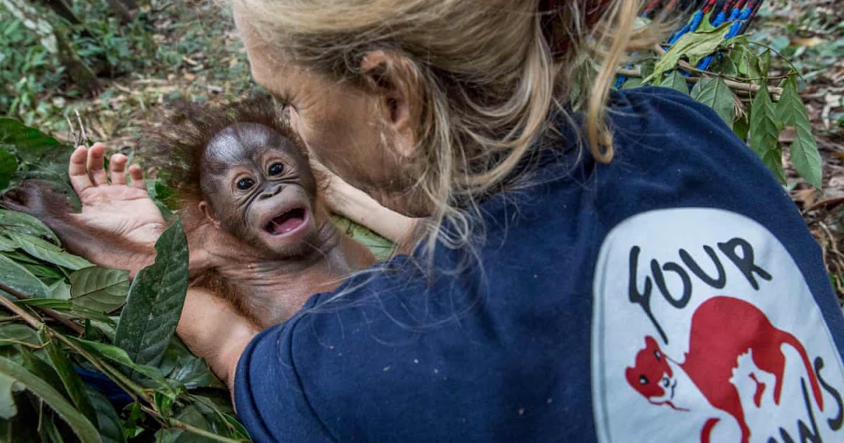 anna maria: Four Paws Forest School