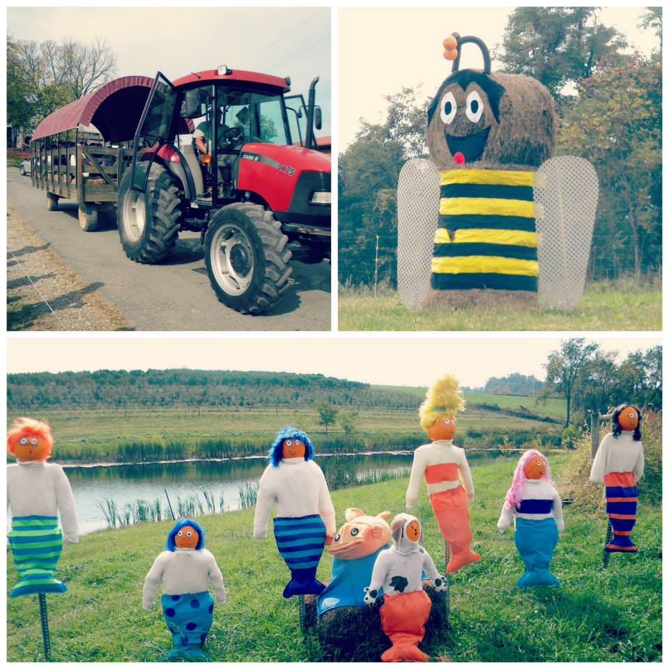 Pgh Momtourage: Triple B Farms: Fall Festival Giveaway