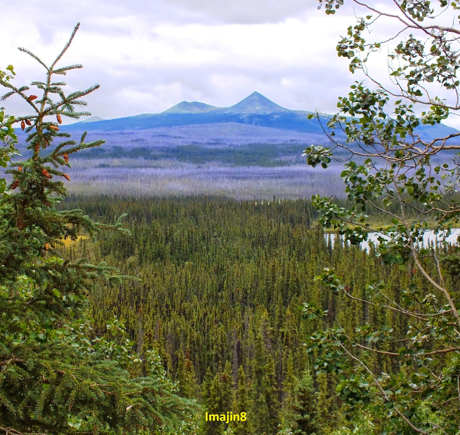 Imajin8: Views to Alaska