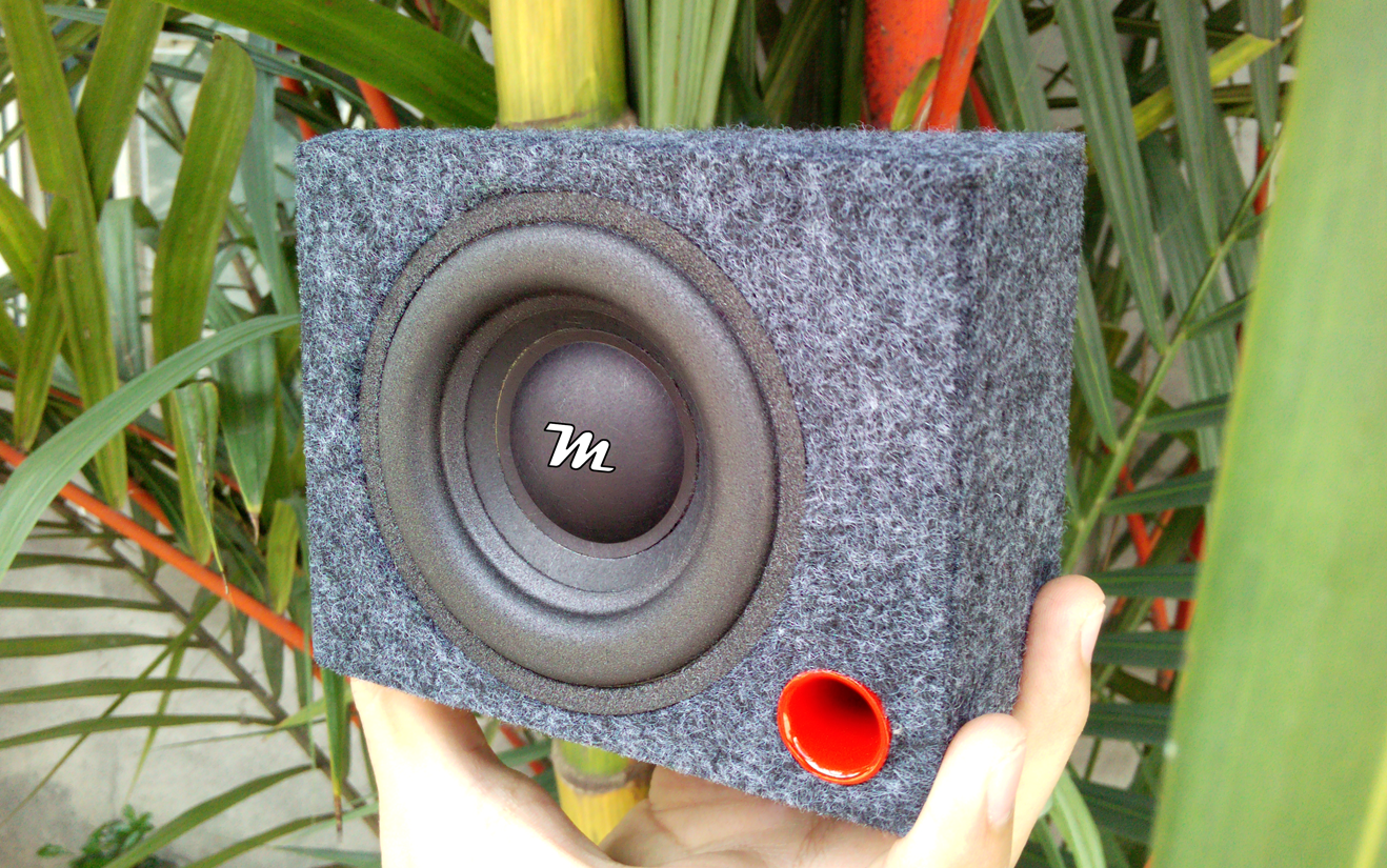 DIY Mini Subwoofer: 2020