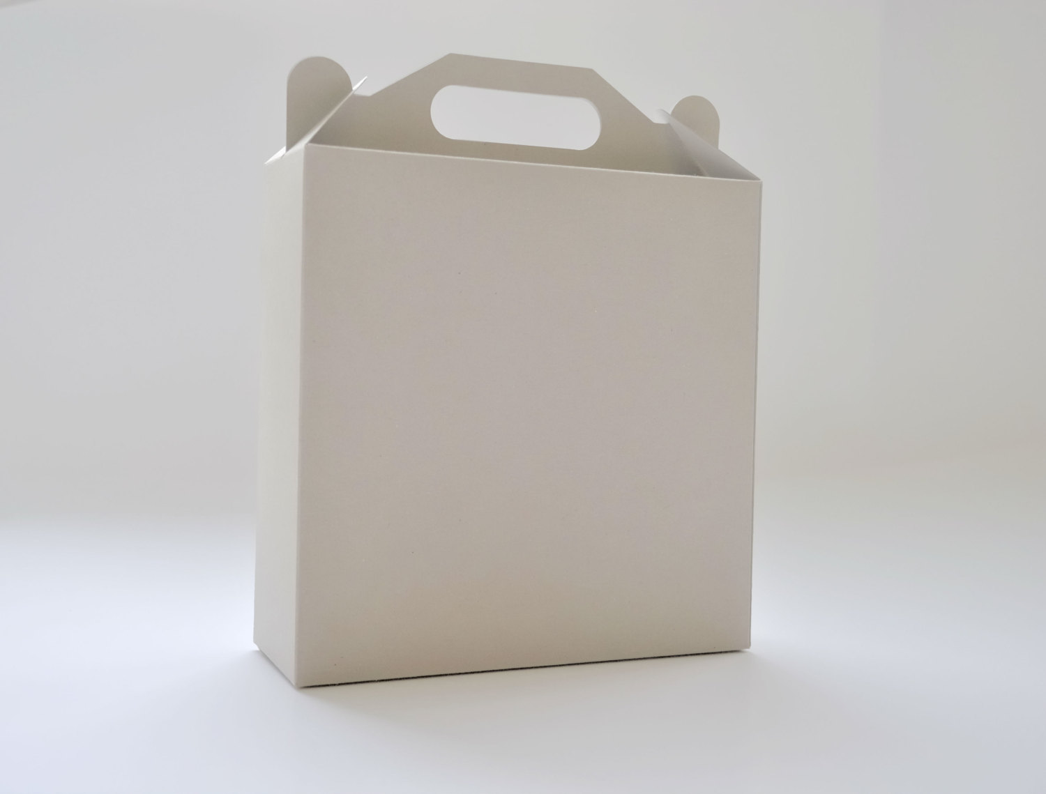 Custom Packaging Products Boxes Design: Gable Box printing for brands ...