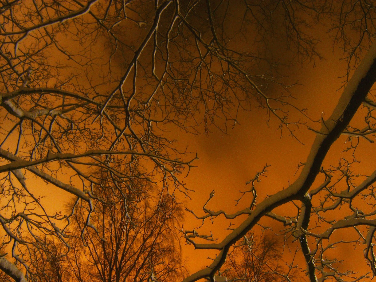 Learn Photography: Solid Color