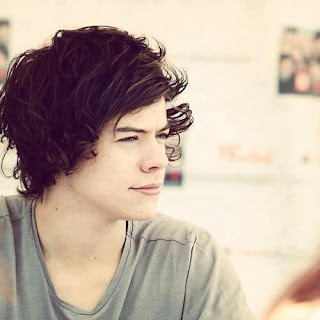 ALL ABOUT ONE DIRECTION: Member's of 1D