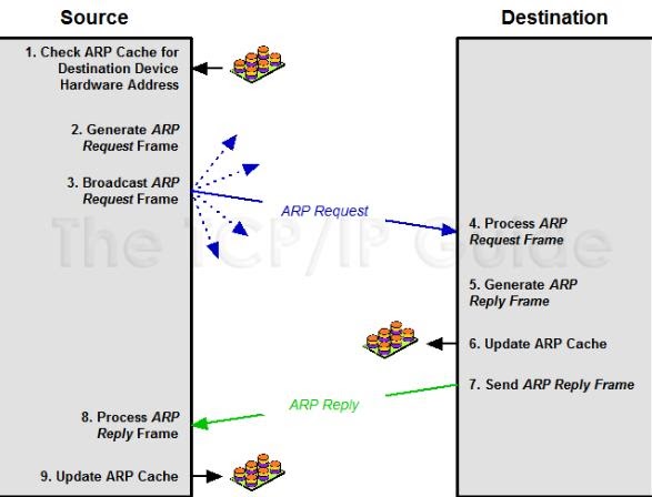 Address Resolution Protocol (ARP) | Networks & Communications