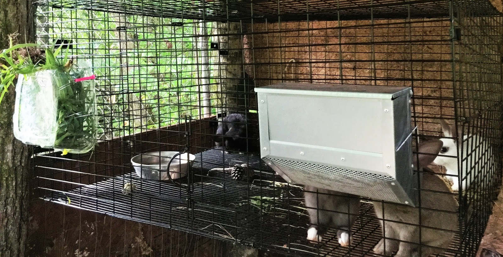 Trash Tossing Homesteaders: How to Make Your Own Rabbit Feeders