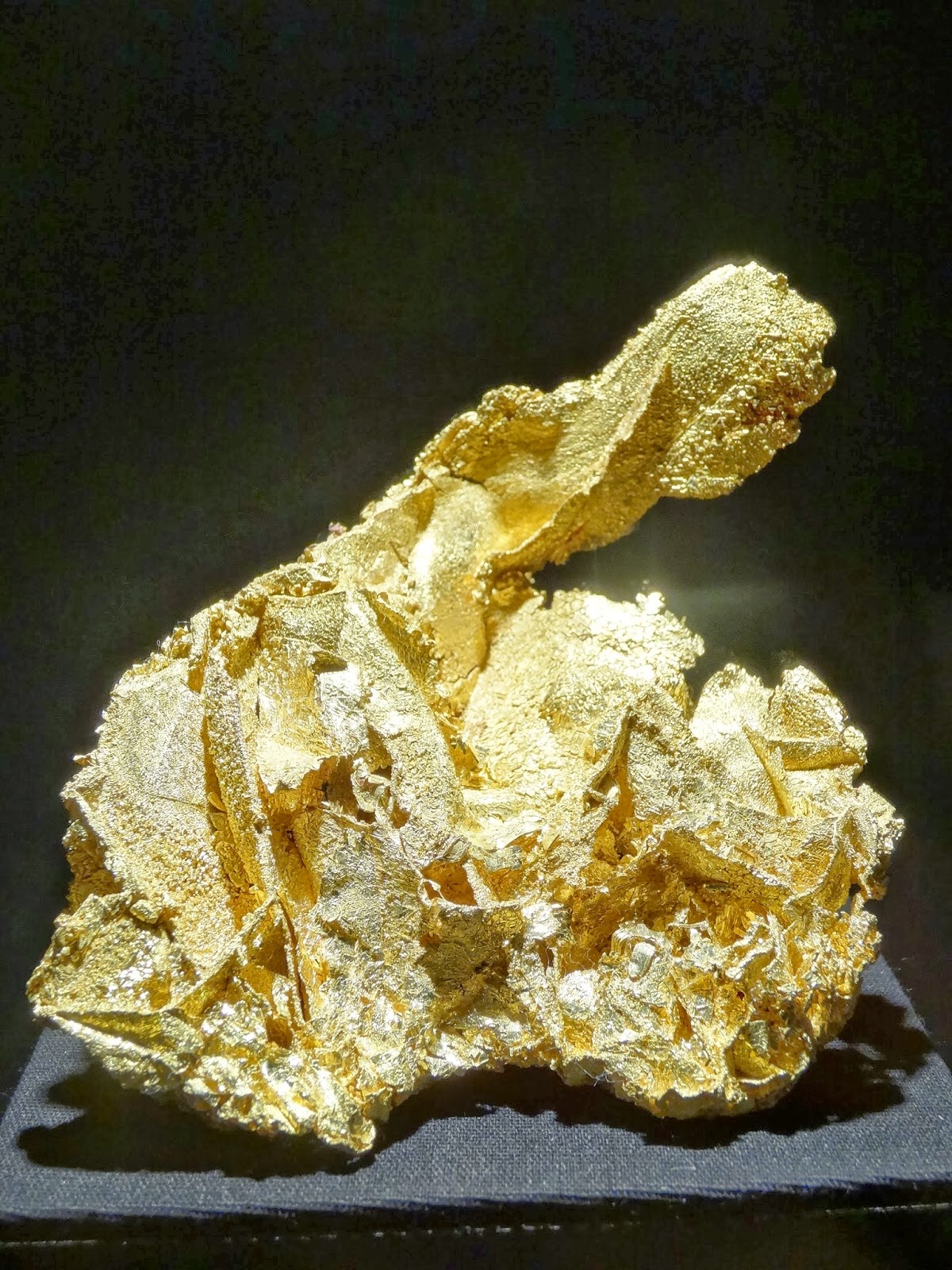 Natural History Museum of L.A. Minblog: Munich Show 2013: special Gold ...