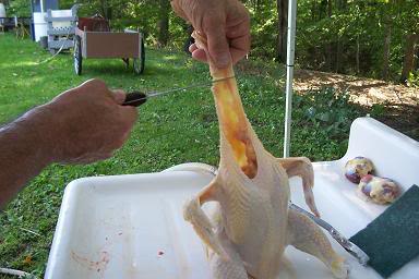 How ToButcher A Chicken: Step 5Remove The Neck
