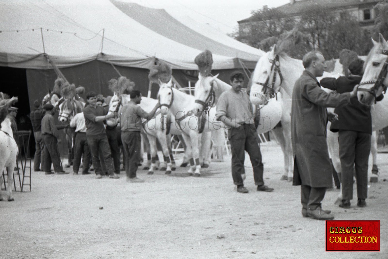 Circus -Collection: City-Circus 1966 quatrième partie le Grand Cirque ...