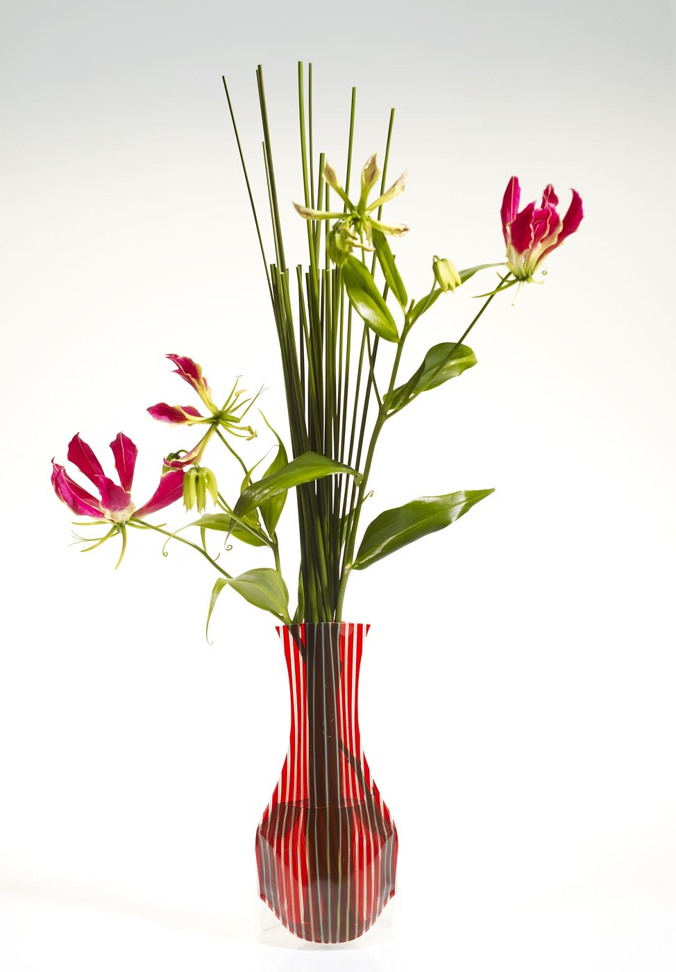 ArmaZém da Flor: VAZU - novo conceito de ......