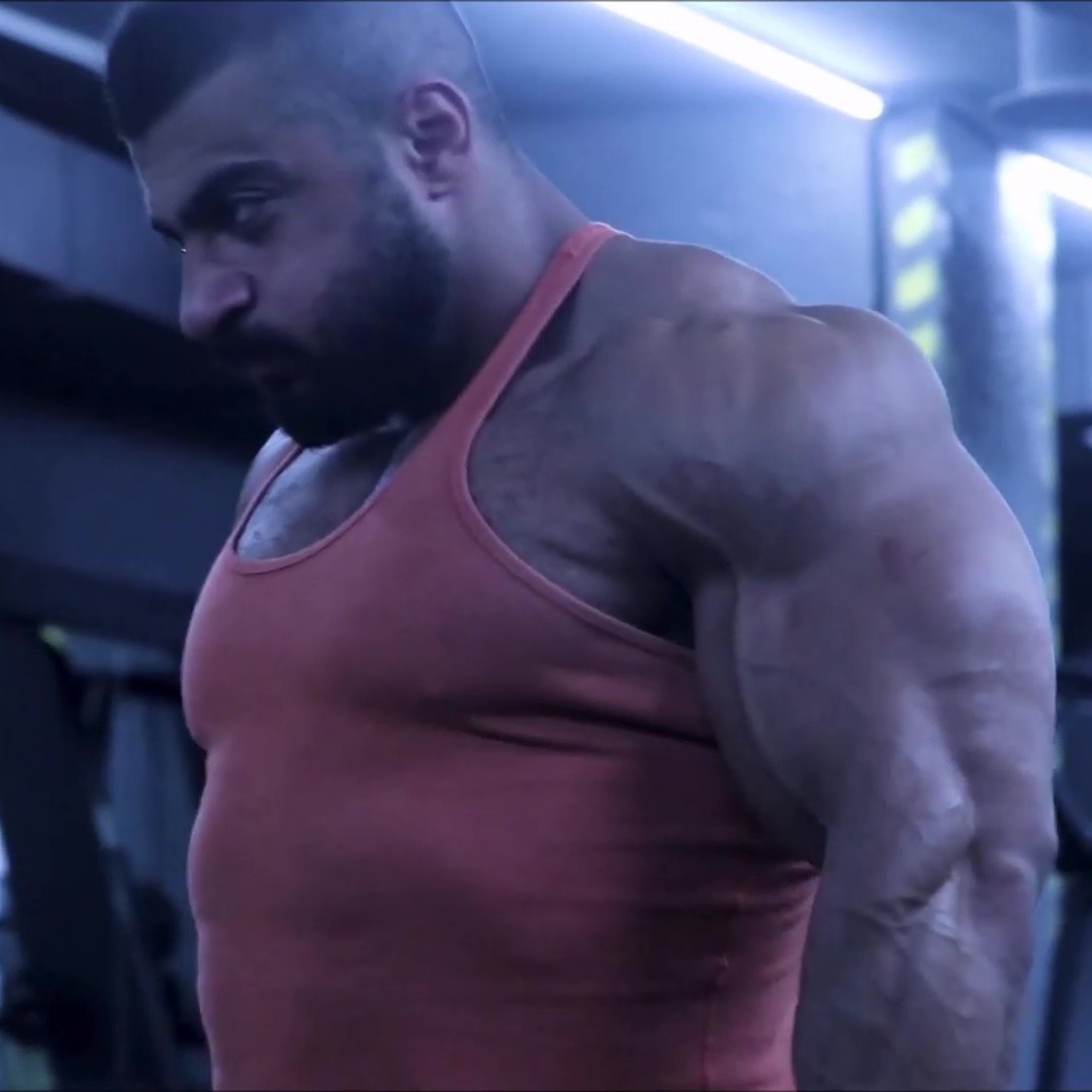 Muscle Lover: The Jordanian muscle machine - IFBB Pro bodybuilder ...